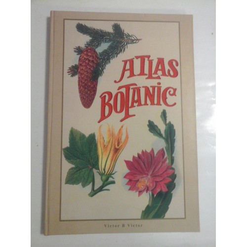 ATLAS BOTANIC - PAULINA ANASTASIU